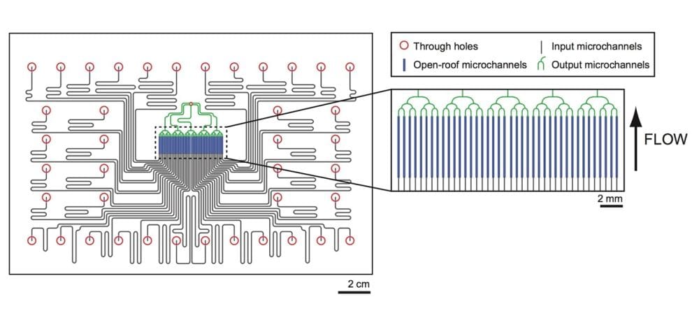 Microfluidic drug delivery to tumor slice cultures | uFluidix